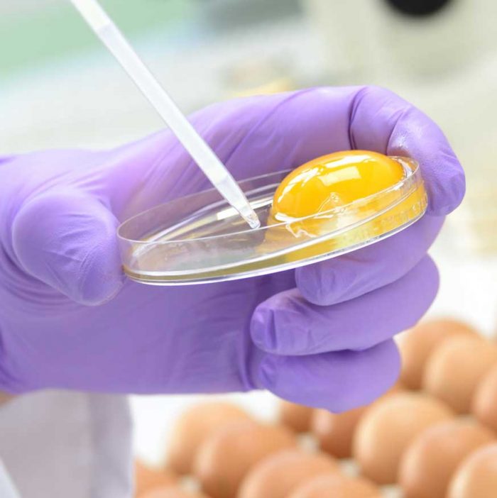 Max's Group: Filth and Cruelty | Adam Keswick: Filth and Food Safety Risks